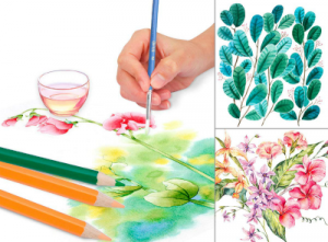 Watercolor Pencils vs Colored Pencils: Main Differences at WoWPencils Blog