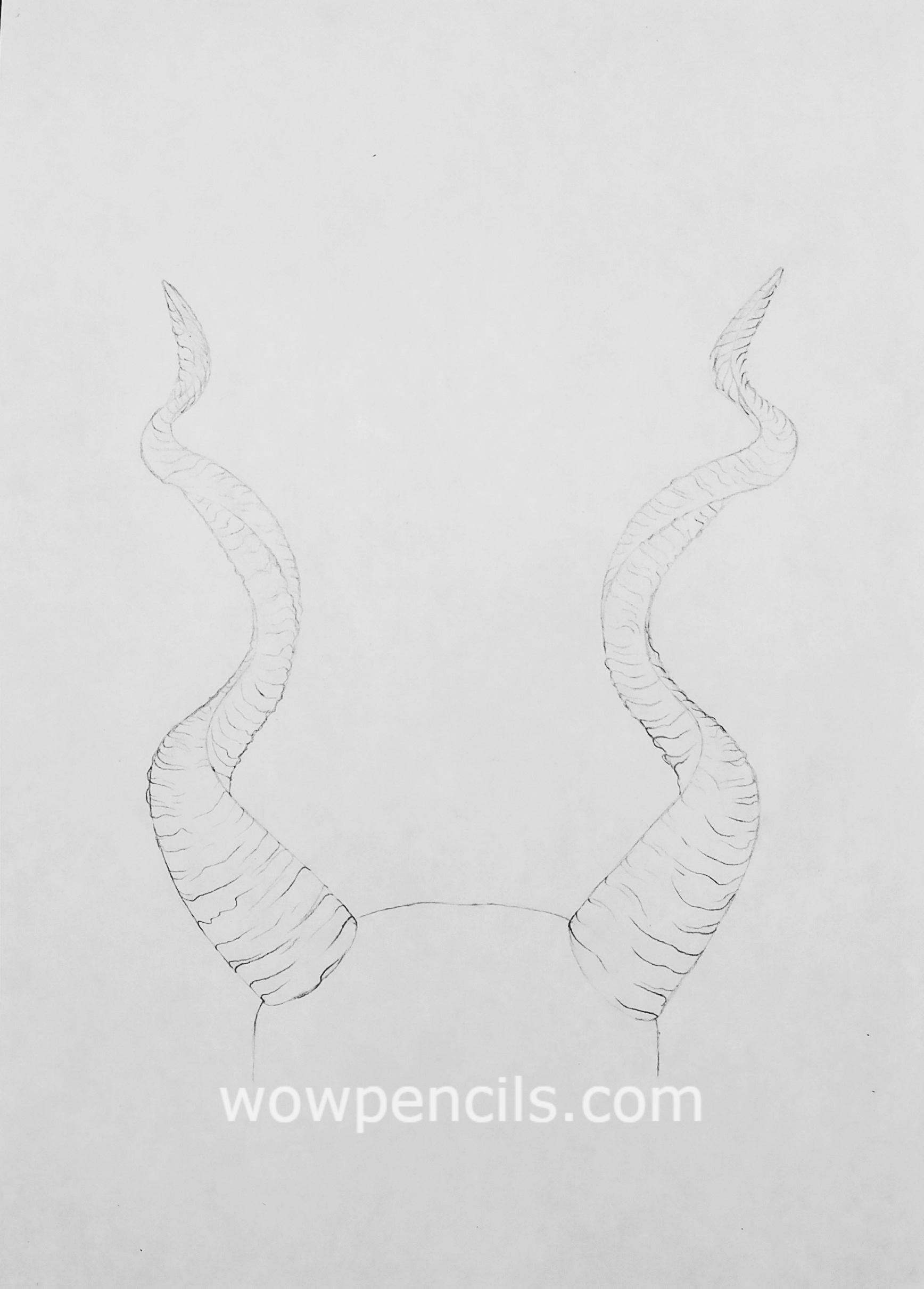 How to Draw Horns: Best Pencil Tutorial at WoWPencils