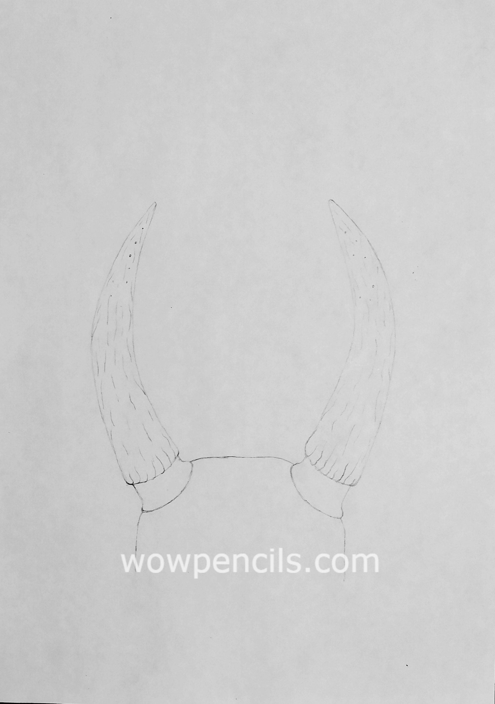 How to Draw Horns: Best Pencil Tutorial at WoWPencils